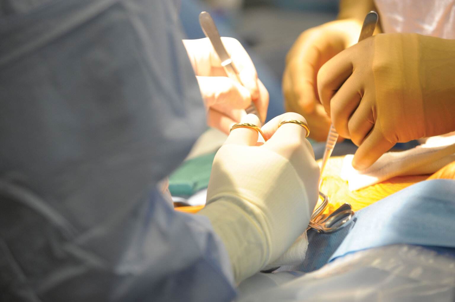 Services • Vascular Health Partners